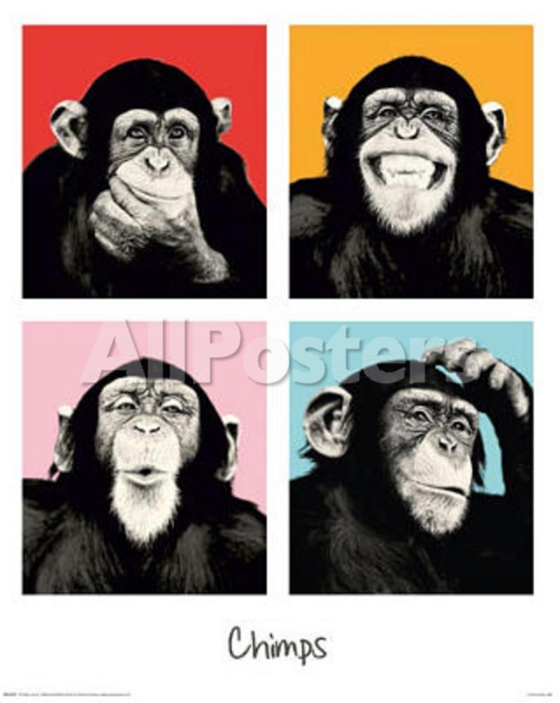 the-chimp-pop-art-print-poster.jpg (956×1200) | Pôsteres de arte ...