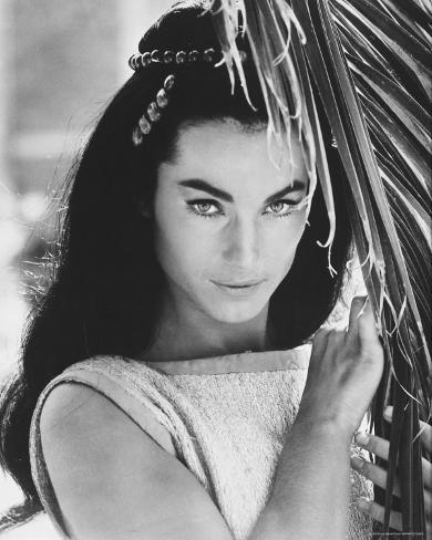 Shirley Ann Grau - Alchetron, The Free Social Encyclopedia