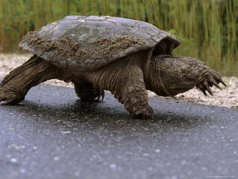 Social - "Time to Tip the Scales!" - Robin Social Thread | Page 1094 ...