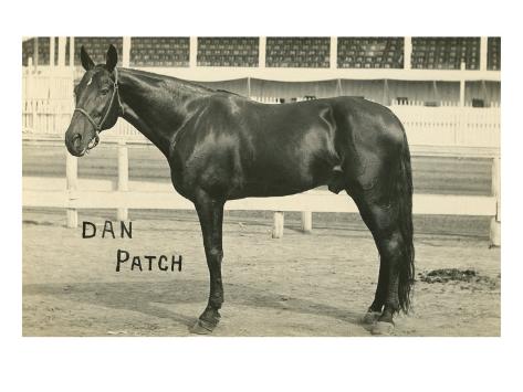Dan Patch - Alchetron, The Free Social Encyclopedia