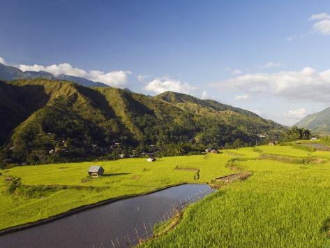 Where do you plan to retire