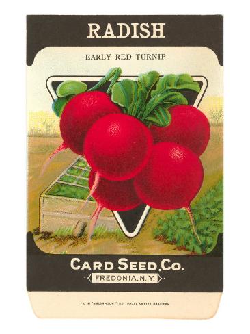 Radish Seed Packets