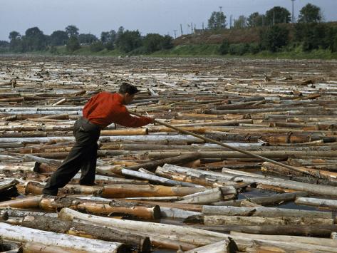 The forestry and logging pictures thread | Page 55 | Outdoor Power ...