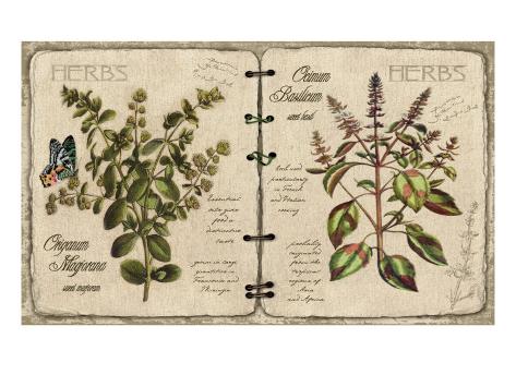 Herb Journal Giclee Print by Kate Ward Thacker at AllPosters.com