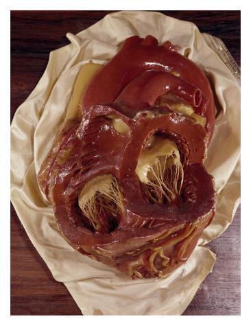 Клемент Сусини XVIII век. анатомические шедевры.. Обсуждение на ...