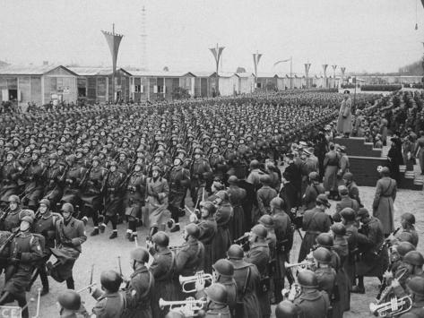 NationStates • View topic - OUTBREAK: A Survival RP (OOC/ENDED)