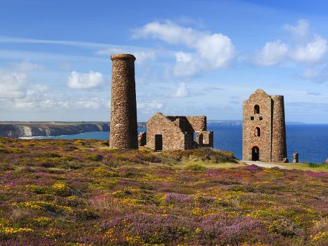 Cornish Tin Mine | nature | Pinterest | Tins, Cornwall and The Beach
