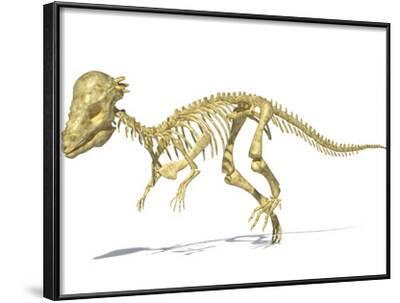 '3D Rendering of a Pachycephalosaurus Dinosaur Skeleton' Photographic ...