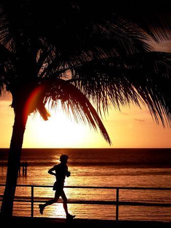 'A Afternoon Runner Passes Under a Palm Tree as the Sun Sets Behind ...