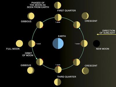 'A Diagram Showing the Phases of the Earth's Moon' Photographic Print ...