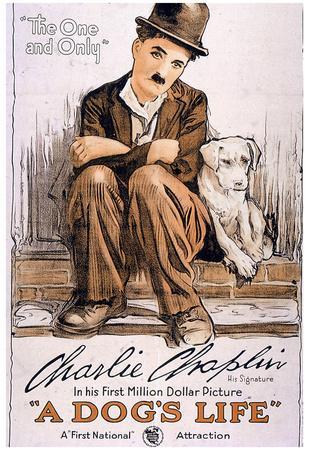 'A Dog's Life Movie Charlie Chaplin Poster Print' Prints | AllPosters.com