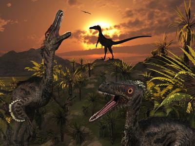 'A Group of Feathered Carnivorous Velociraptors from the Cretaceous ...