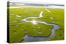 'A healthy salt marsh grows in Pleasant Bay on Cape Cod, Massachusetts ...