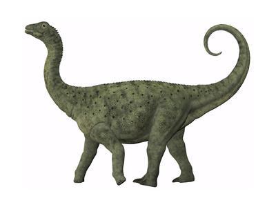 'A Juvenile Saltasaurus Sauropod Dinosaur of the Cretaceous Period ...