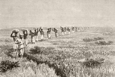 'A Line of Porters Carrying Expedition Supplies During a Journey of ...