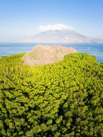 'A mangrove forest fringes an island near the volcano of Iliape in the ...