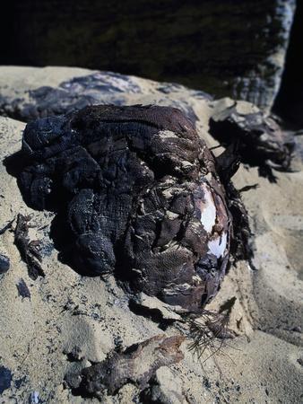 'A Mummy Emerging from Sand During Excavation Work for New Tombs ...