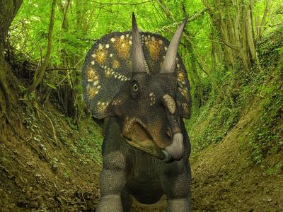 'A Nedoceratops Wanders a Cretaceous Forest' Photographic Print ...