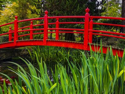 'A quintessential red bridge in the Japanese Gardens at Tully, County ...