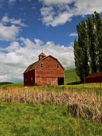 'A Ride Through the Farm Country of Palouse, Washington State, USA ...