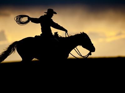 'A Silhouetted Cowboy Riding Alone a Ridge at Sunset in Shell, Wyoming ...