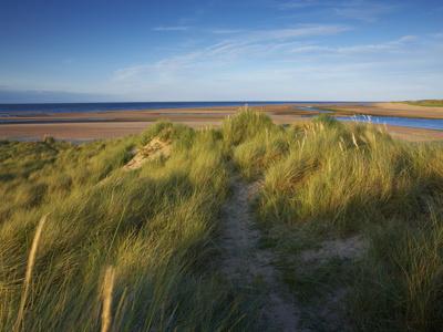 'A Summer View of the Barrier Island Scolt Head Island, Norfolk ...