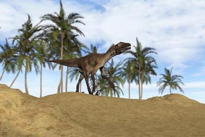 'A Utahraptor Walking in a Prehistoric Environment' Prints | AllPosters.com