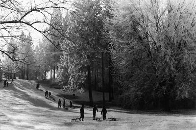 'A Winter View of Manito Park - Spokane, WA' Prints - Lantern Press ...