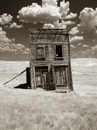 'Abandoned Shack in Field' Photographic Print - Aaron Horowitz ...