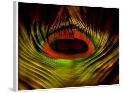 'Abstract Flight' Photographic Print - Clive Nolan | AllPosters.com