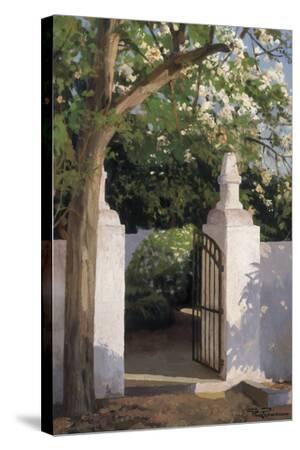 'Acacia' Stretched Canvas Print - Poch Romeu | AllPosters.com