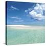 'Tropical Horizons IV' Stretched Canvas Print - Adam Brock | AllPosters.com