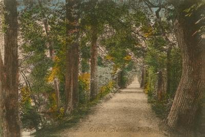 'Addison's Walk, Oxford. Postcard Sent in 1913' Giclee Print - English ...
