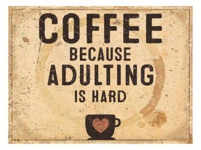 'Adulting' Posters - Dan Dipaolo | AllPosters.com