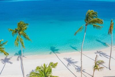 Aerial paradise scenery. Tropical aerial landscape, seascape with palm ...