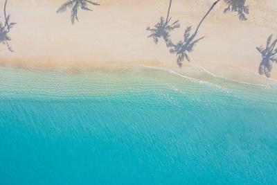 'Aerial paradise scenery. Tropical aerial landscape, seascape with palm ...