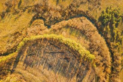 Aerial View Green Forest In Deforestation Area Landscape. Top View Of ...