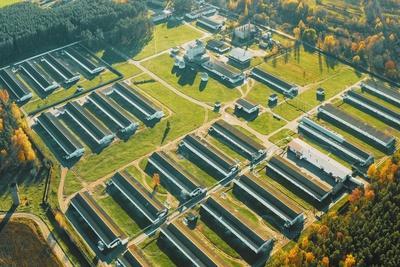 'Aerial View Modern chicken farm, barns, Sheds. Bird's-eye View In ...