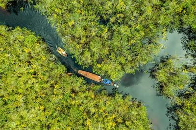 'Aerial view of boat crossing through the deep jungle, Yanomami tribe ...