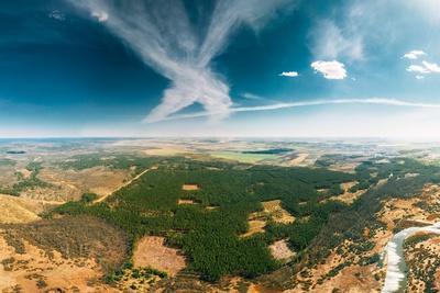Aerial View Of Deforestation Area Landscape. Green Pine Forest In ...