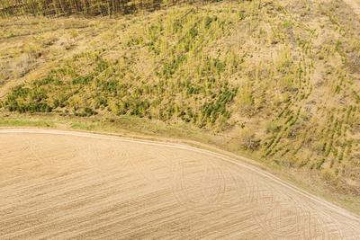 'Aerial View Of Minimalistic Rural Landscape. Bird's-eye View Of ...
