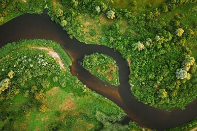 'Aerial View Of Summer River Landscape In Summer Day. Top View Of ...
