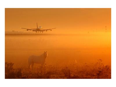 'Aerial Workhorse' Poster | AllPosters.com