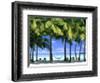'Aitutaki, Cook Islands, New Zealand' Photographic Print - Peter Adams ...