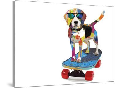 'Skateboard B' Stretched Canvas Print - Alan Lambert | AllPosters.com