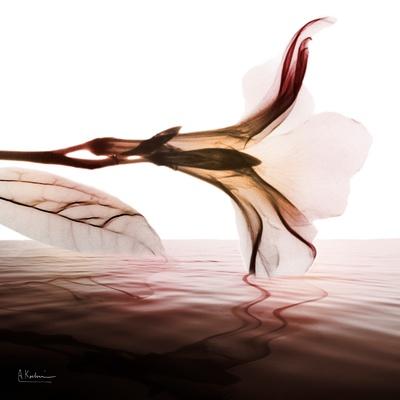 'Equable Coast 2' Poster - Albert Koetsier | AllPosters.com