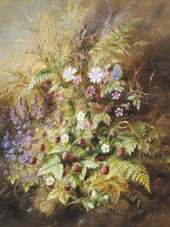 'Wild Strawberries and a Butterfly' Giclee Print - Albert Lucas ...
