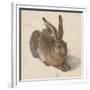 'Hare, 1502' Giclee Print - Albrecht Dürer | AllPosters.com