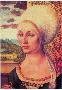 'Albrecht Durer Elsbeth Tucher Art Print Poster' Photo | AllPosters.com