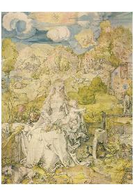 'Albrecht Durer (Madonna with the many animals)' Posters | AllPosters.com